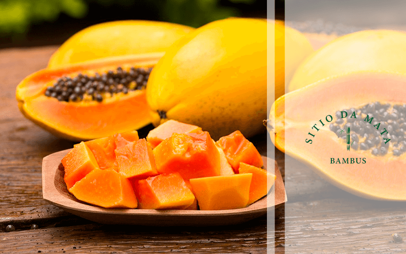 10 Dicas Para Criar um Lindo Pomar I Sitio da Mata