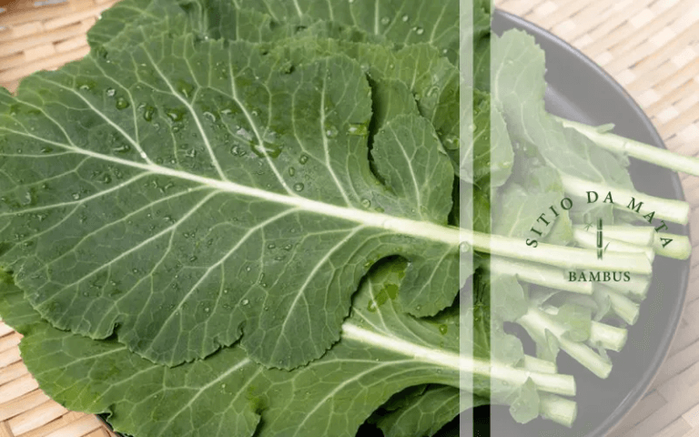 5 Tipos de Couve que Não Podem Faltar à sua Mesa - Sitio da Mata Bambus