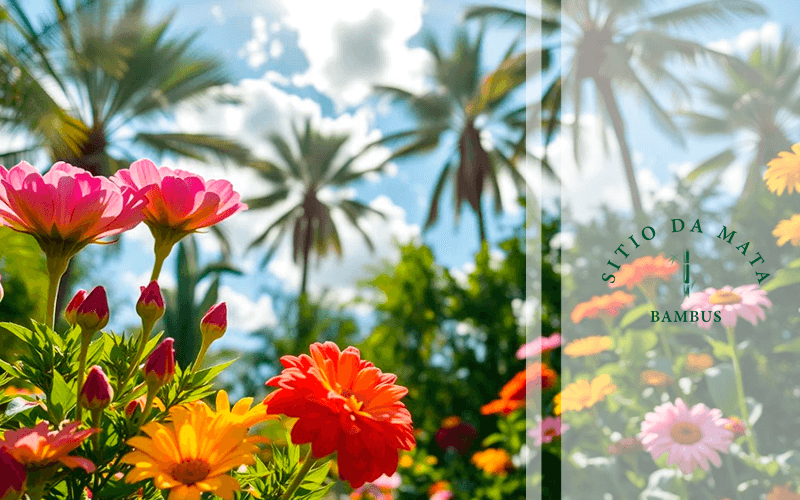 Planta Jasmim: 7 Espécies lindas e perfumadas, prontas para transformar ...