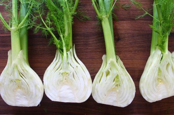 FUNCHO DE CABEÇA ERVA DOCE (Pimpinella anisum L.)