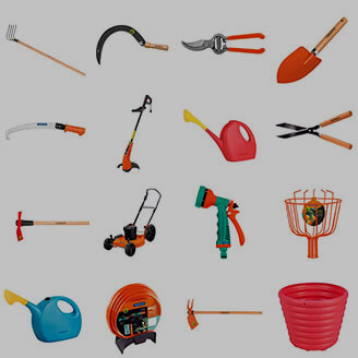 Palmito Jussara (Euterpe edulis)